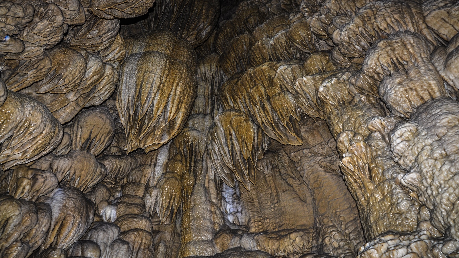 16 Hidden Gems in Oregon that Even Locals Don't Know About - Roam the ...