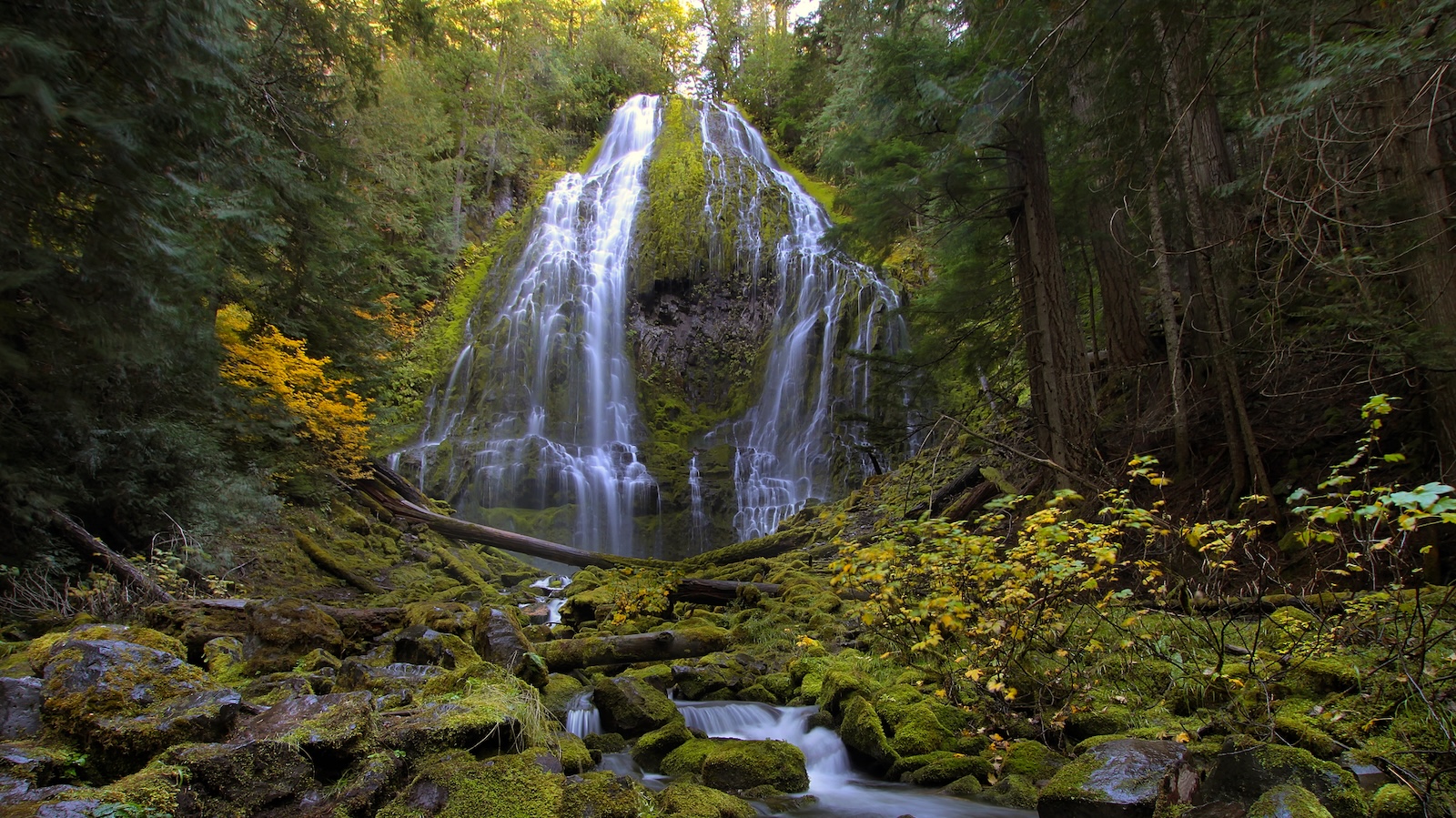 12 Epic Oregon Waterfalls That Are Straight Out of a Fairytale - Roam ...