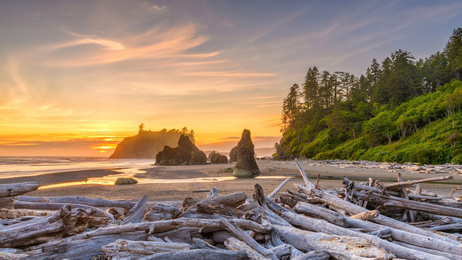 A Local's Guide to the 19 Best Beaches on the West Coast - Roam the ...
