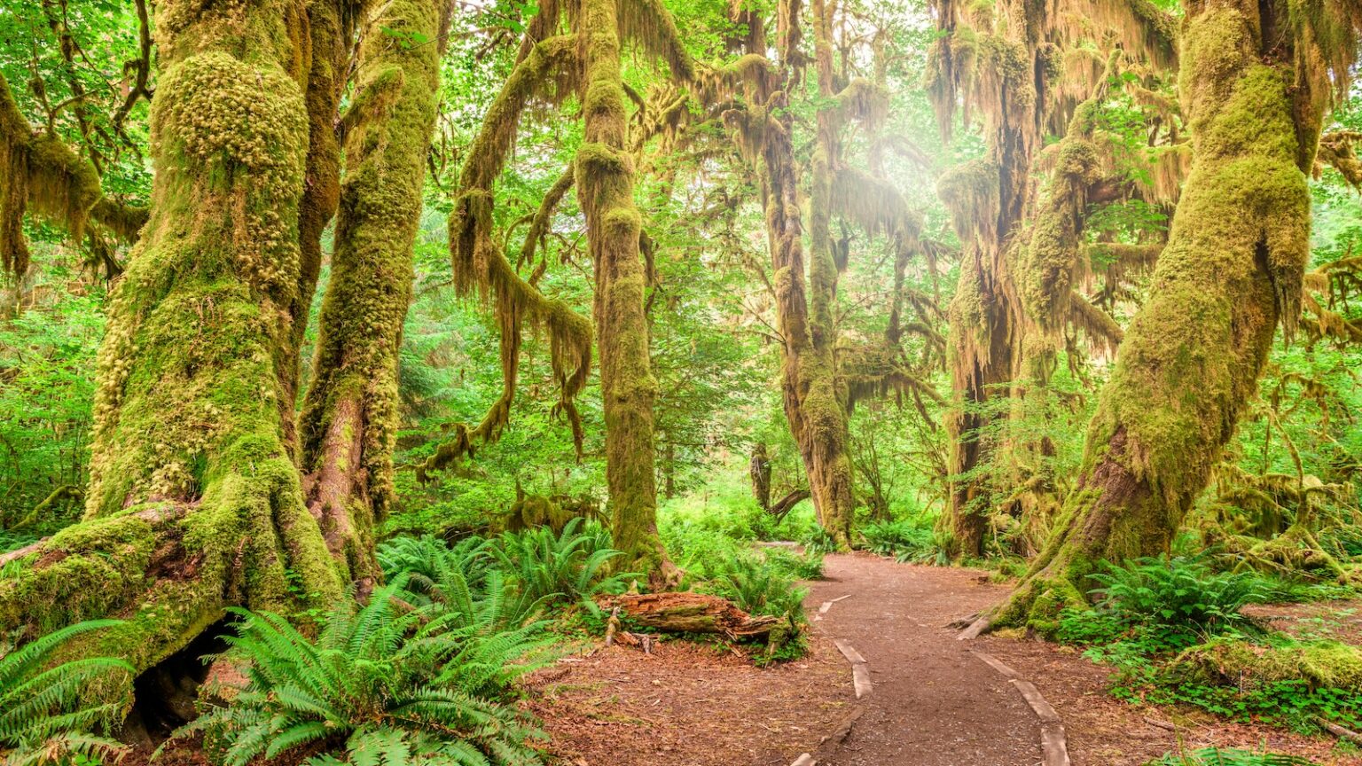 17 Hidden Gems in Washington that Even Locals Forget About - Roam the ...