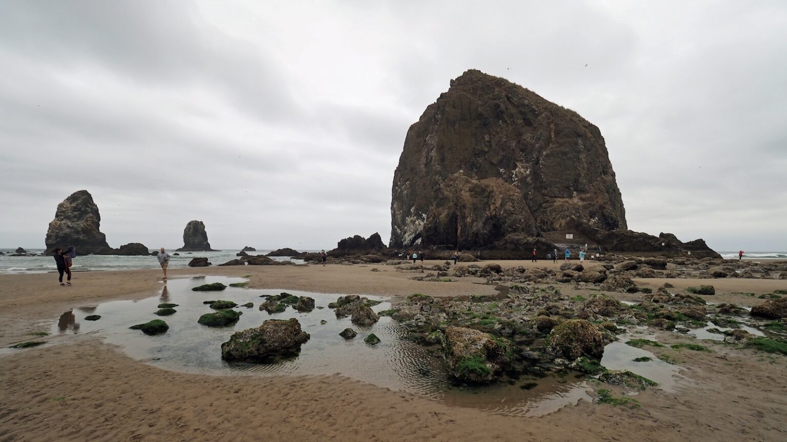 Explore the Best of the West Coast with These 13 Unforgettable Coastal ...