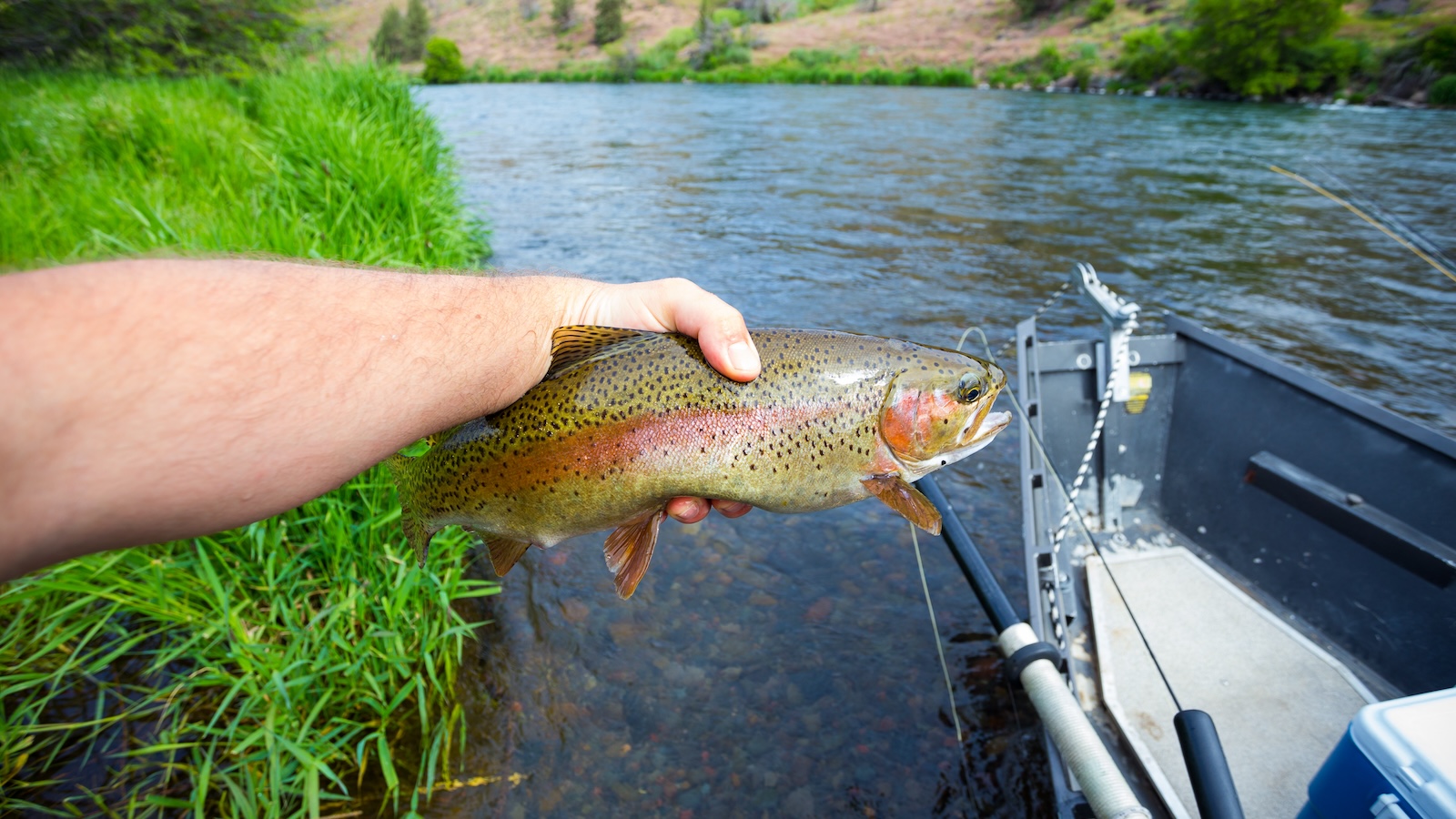 10 Amazing Fishing Spots in Oregon - Roam the Northwest