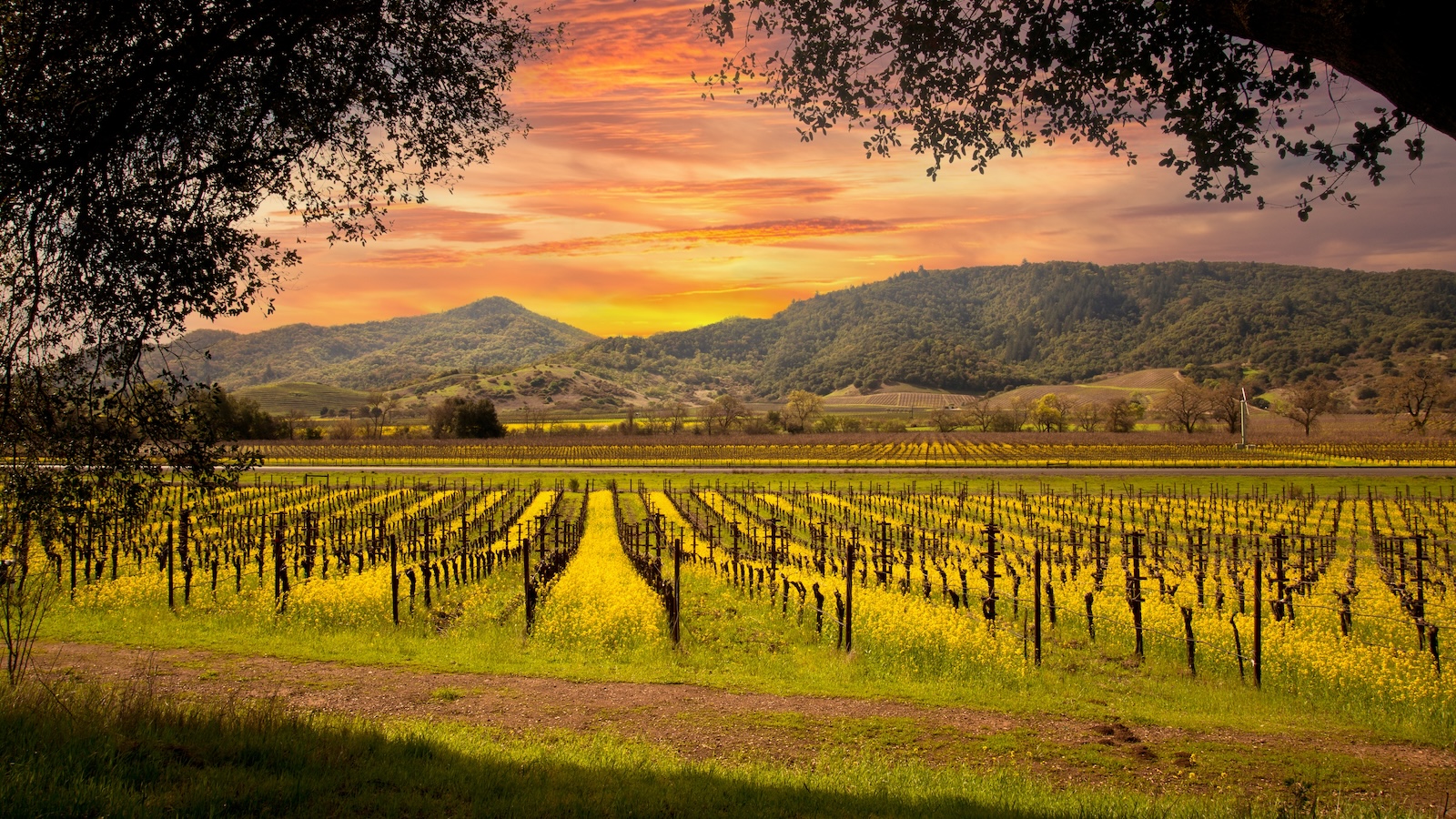 14 Reasons Why California is the Best State in the Country - Roam the ...