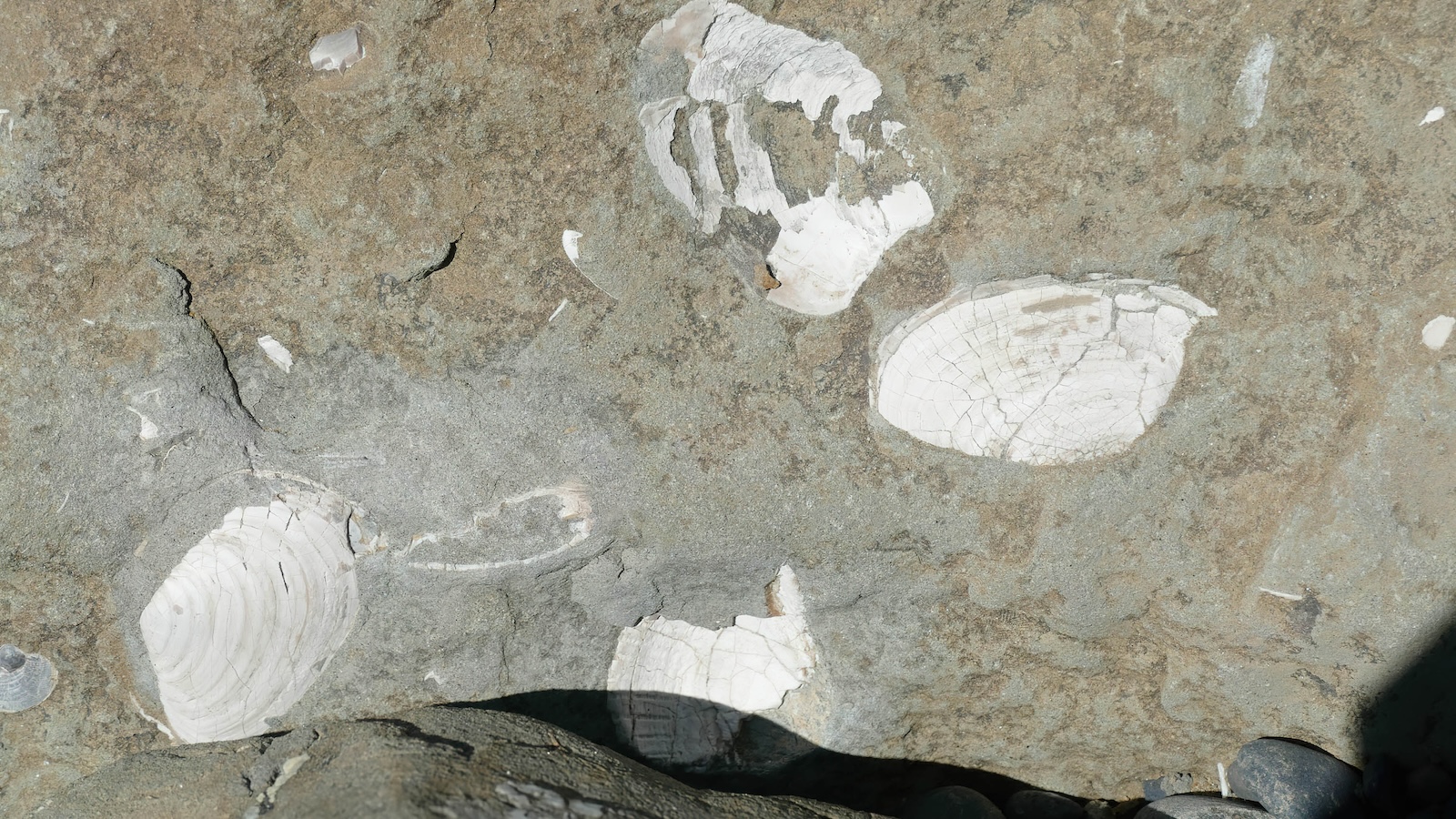 8 Things That Make This Oregon Coast Town the Perfect Family ...