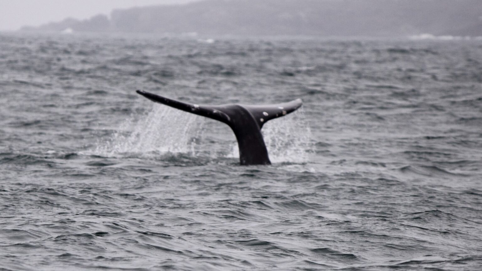 8 Reasons Why Autumn Is The Best Time To Visit the Oregon Coast - Roam ...